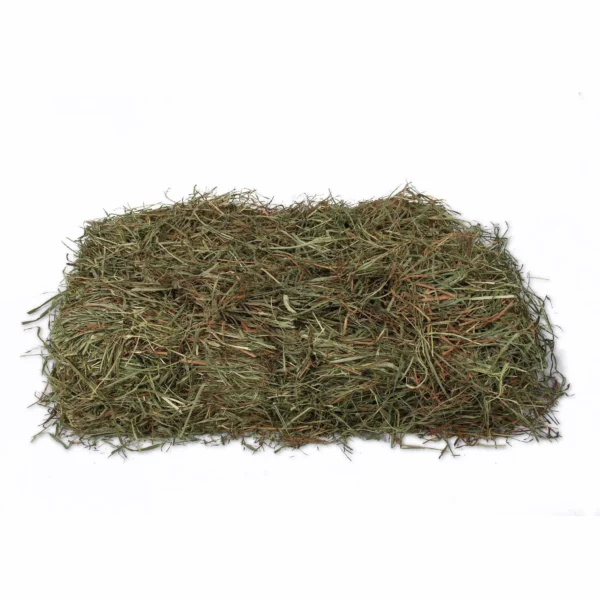 🌿Mixed Forage Hay – Samai Thai Agricultural Products